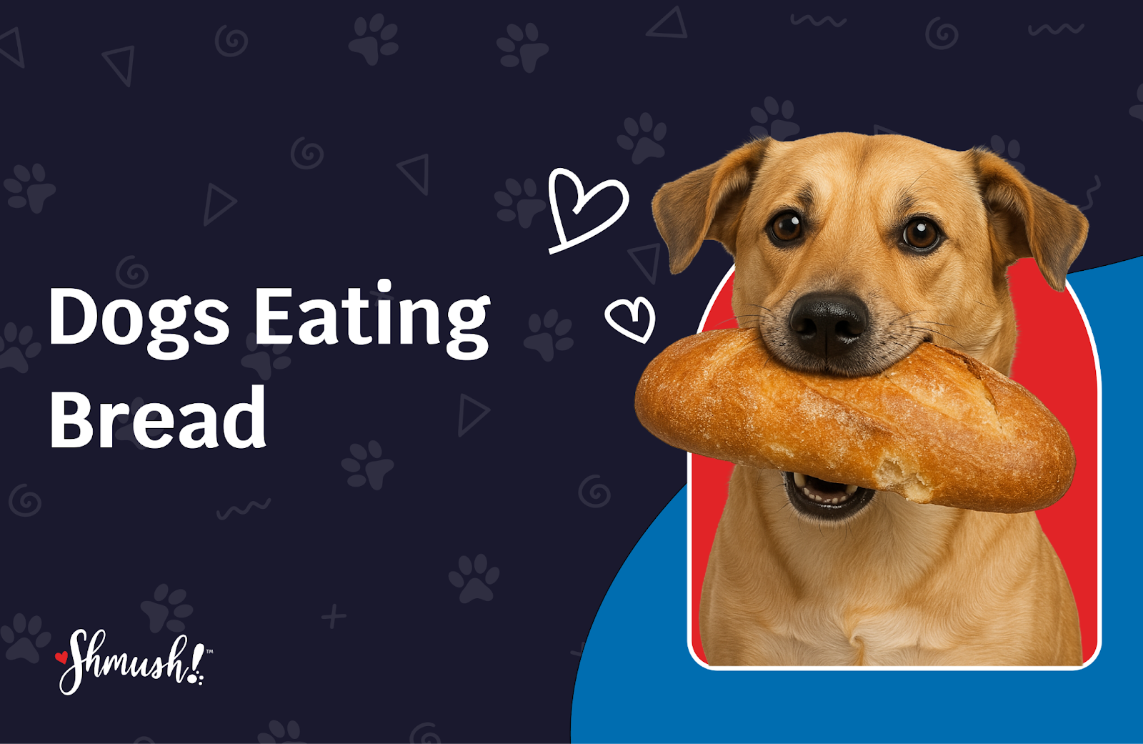 Dogs Eating Bread: Vet-Approved Types and Risks – Shmush! Pets