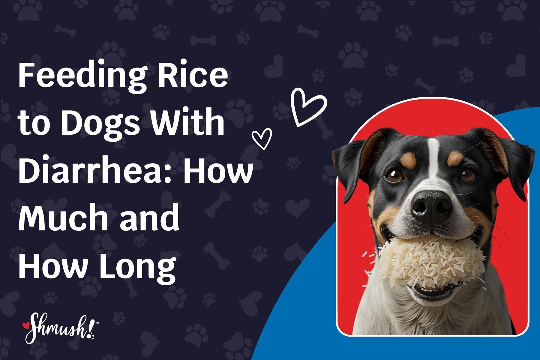 Feeding Rice to Dogs With Diarrhea: How Much and How Long – Shmush! Pets