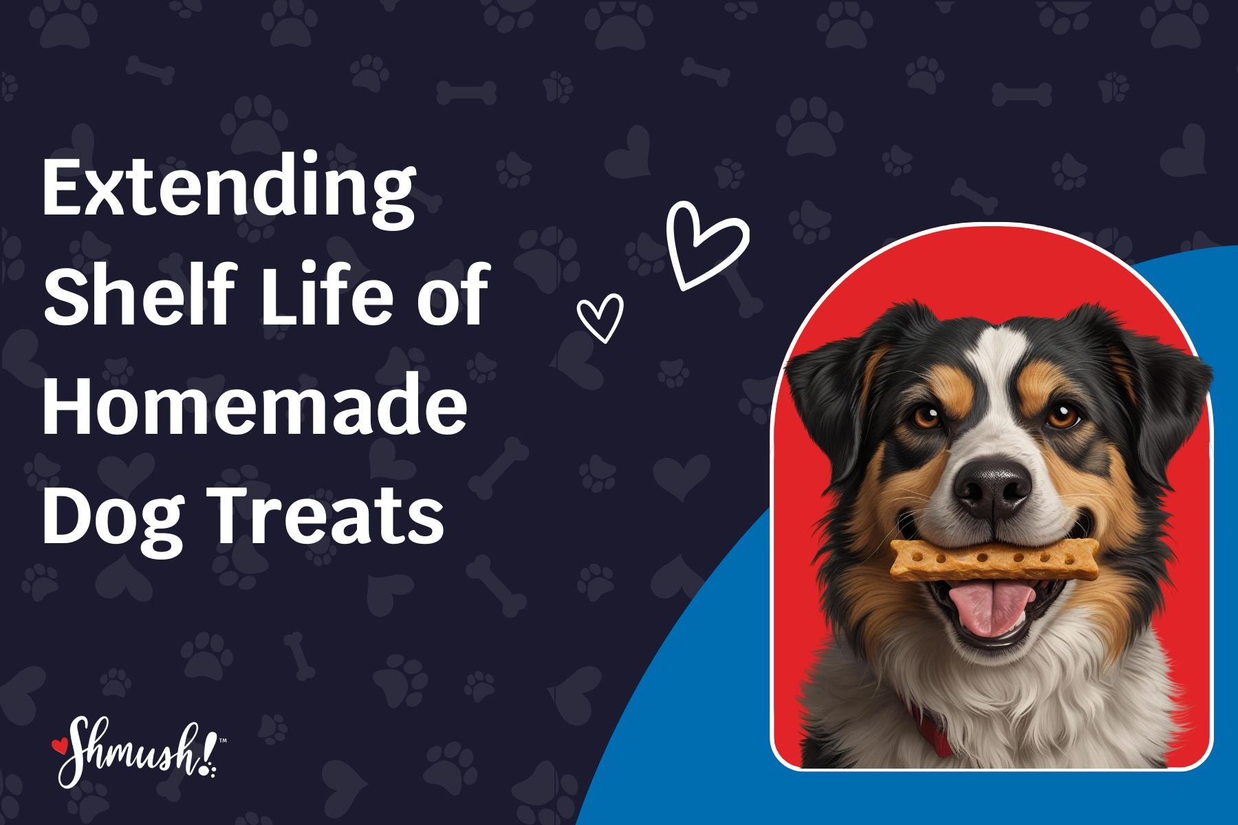 Extending Shelf Life of Homemade Dog Treats – Shmush! Pets