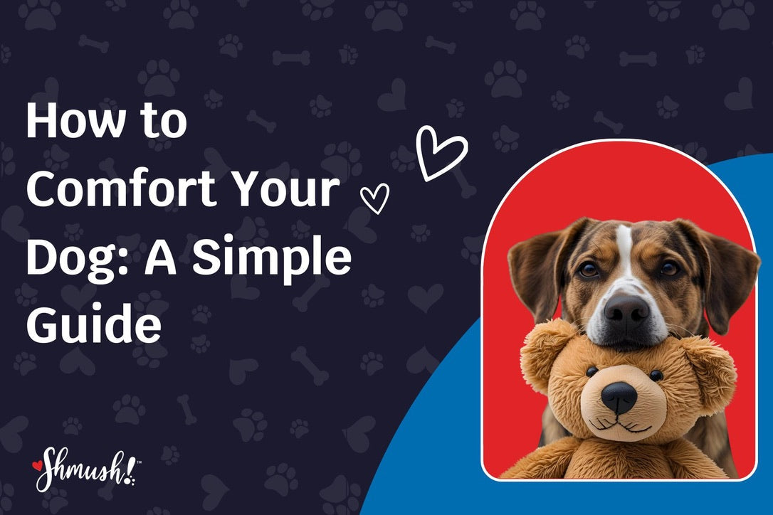 How to Comfort Your Dog: A Simple Guide – Shmush! Pets