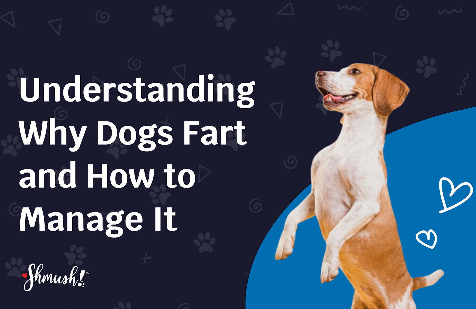 Understanding Why Dogs Fart and How to Manage It – Shmush! Pets
